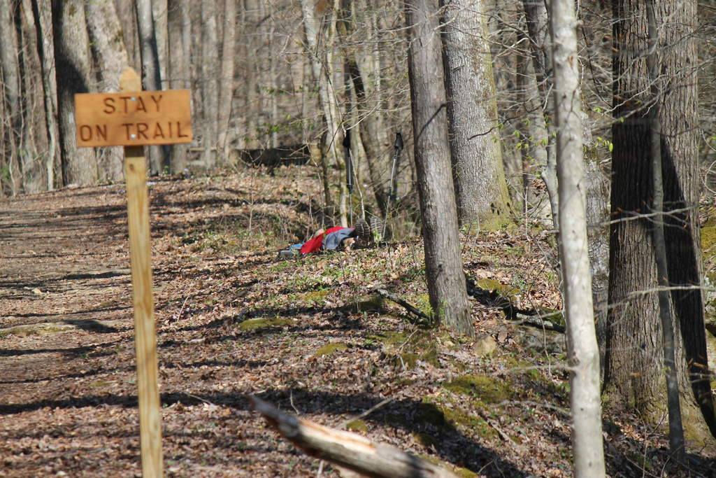 Upper Kelly Camp | Random Forest Runner